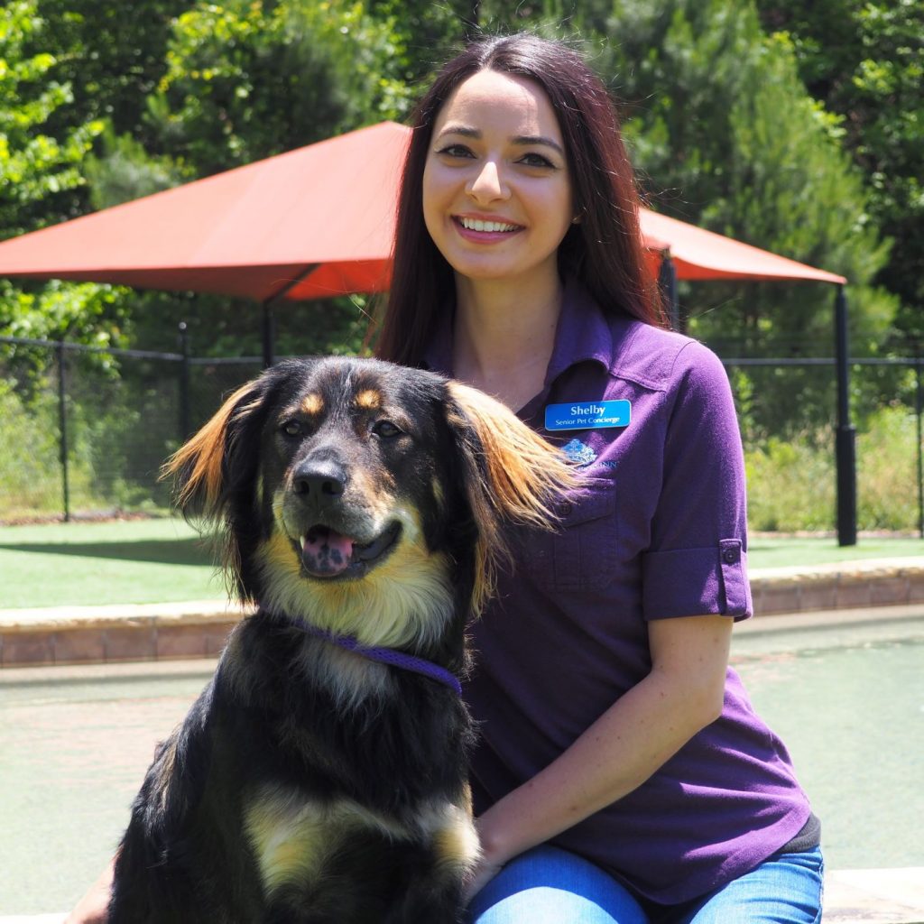 About Us | Pampered Pets Inn