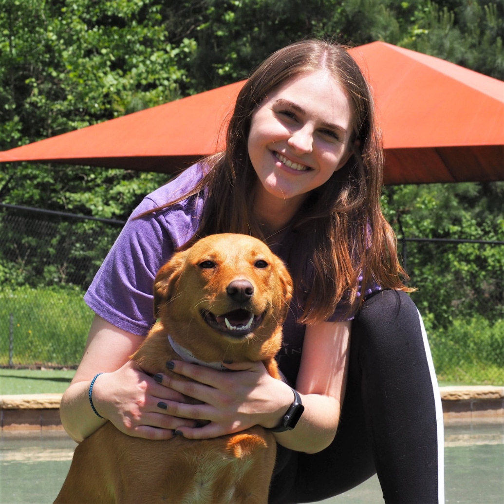 About Us | Pampered Pets Inn