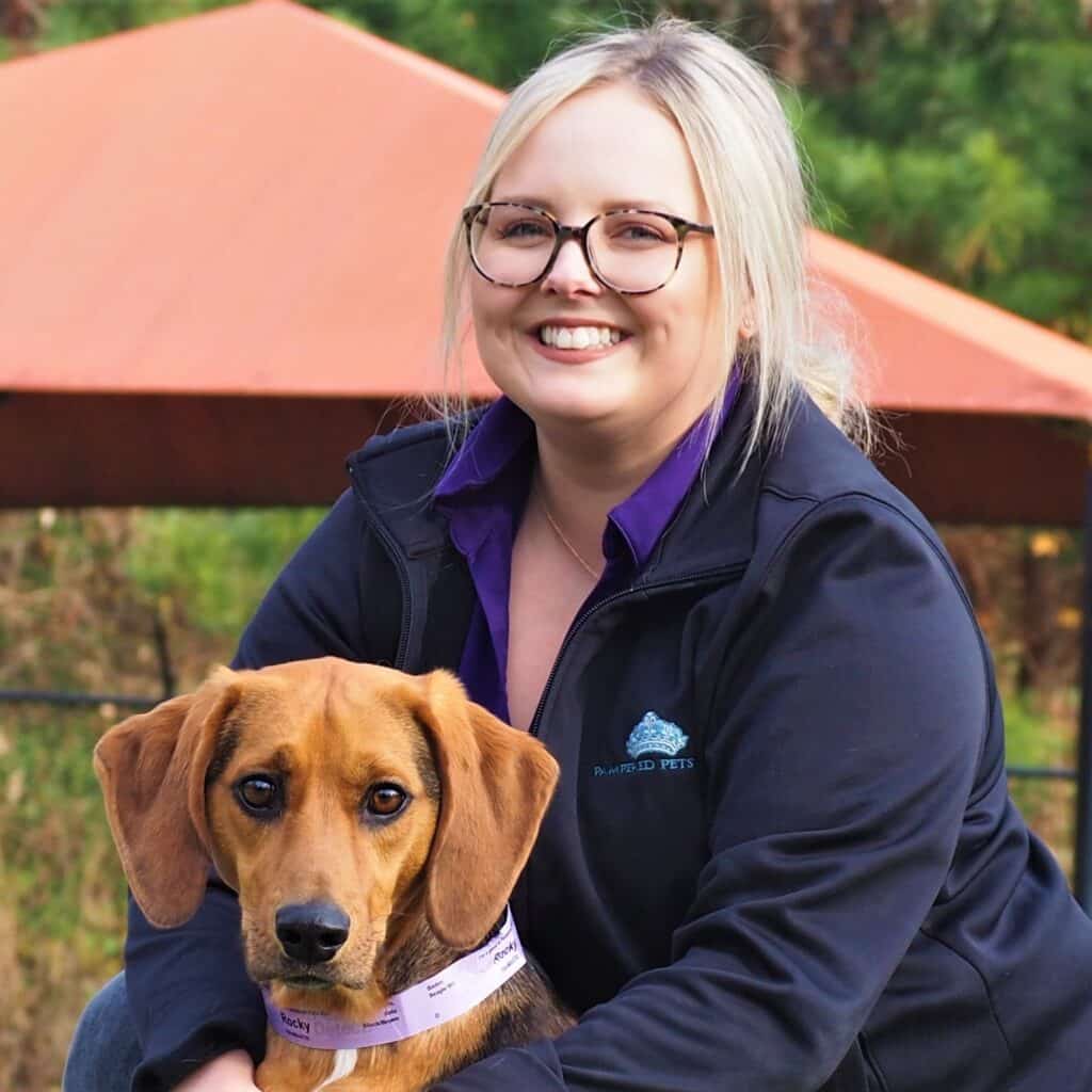 About Us | Pampered Pets Inn