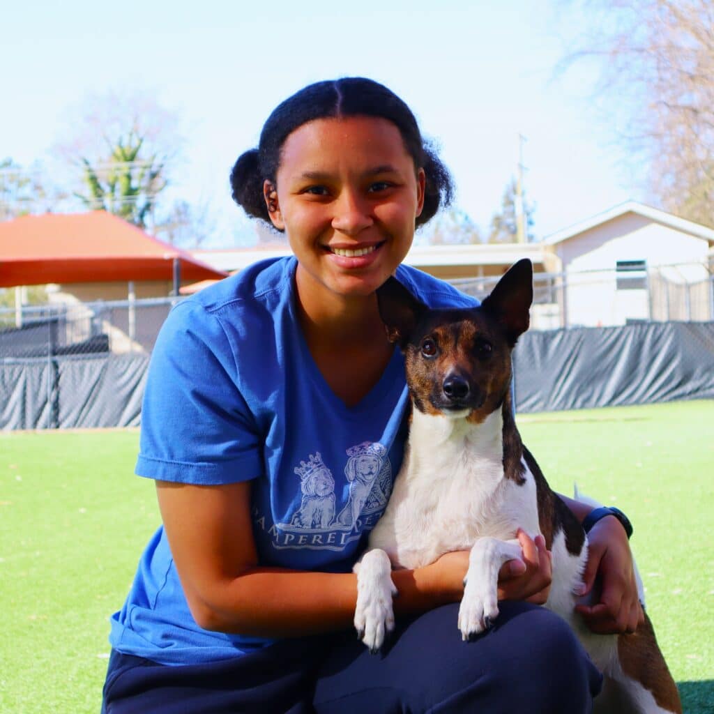 About Us | Pampered Pets Inn